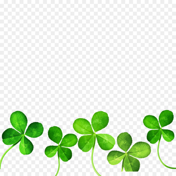 Free: Four-leaf clover Clip art - Clover - nohat.cc