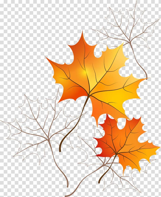 Free: Frames Autumn leaf color Desktop , autumn transparent background ...