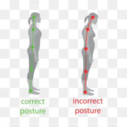 Free: Free download Neutral spine Poor posture Standing Human body ...