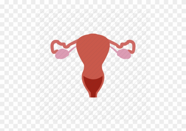 Free: Free Medical Icons - Cervix Png - nohat.cc