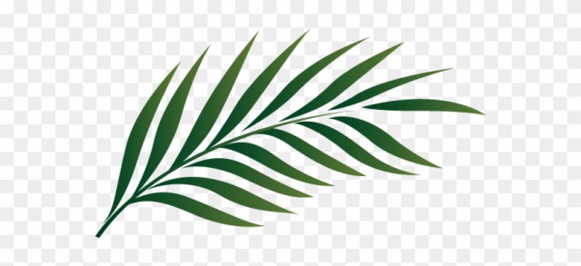 Free: Free Palm Tree Leaves Clipart - Palm Tree Leaf Clipart - nohat.cc