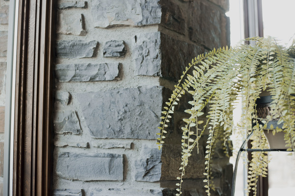 Free: Free Photo of fern, architecture, lobby - nohat.cc