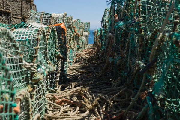 Free: Free Photo of fishing, net, rope - nohat.cc