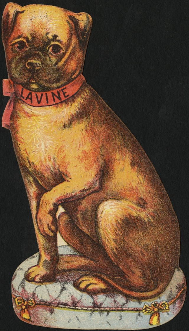 Free: | Free Photo - rawpixel - nohat.cc