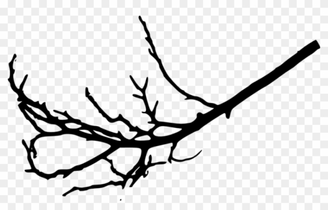 Free: Free Png Tree Branches Silhouette Png Images Transparent - Tree ...