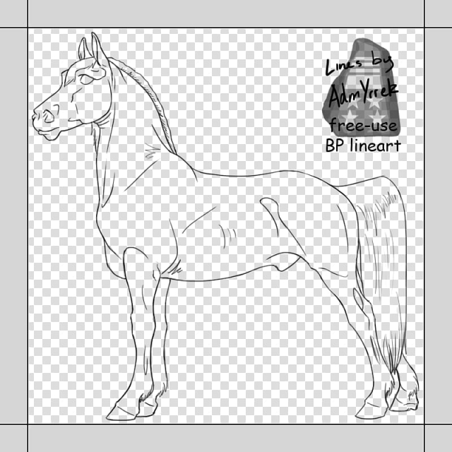 Free: Free Use BP Line Art Morgan transparent background PNG clipart ...