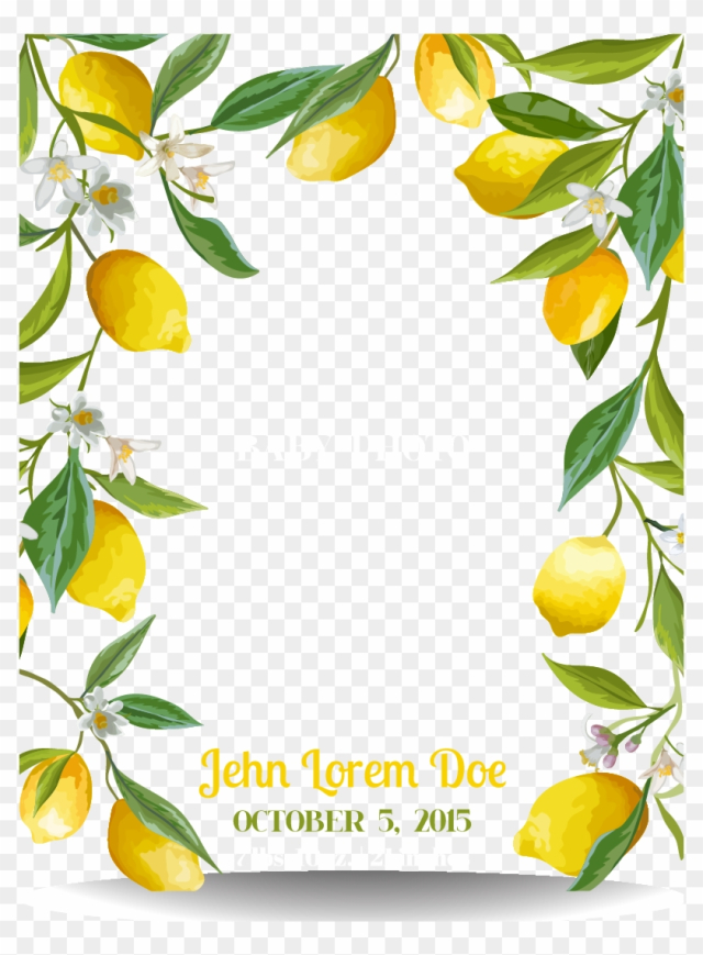 Free: Fresh Lemon Border - Lemon Border Png - nohat.cc