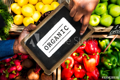 Free: Fresh Natural Organic Product Concept - nohat.cc