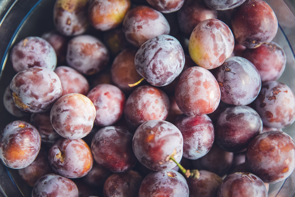 Free: Fresh plums - nohat.cc