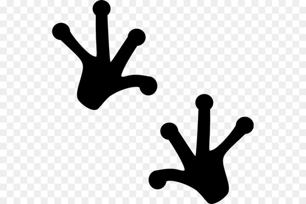 Free: Frog Clip art Cat Animal track Footprint - frog - nohat.cc