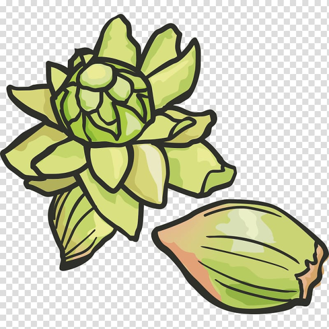 Free: Fruit Fuki Vegetable Illustration, vegetables,Fruits and ...