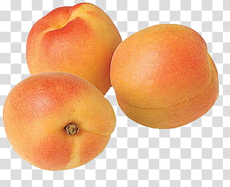 Free: Fruits, peach fruits transparent background PNG clipart - nohat.cc