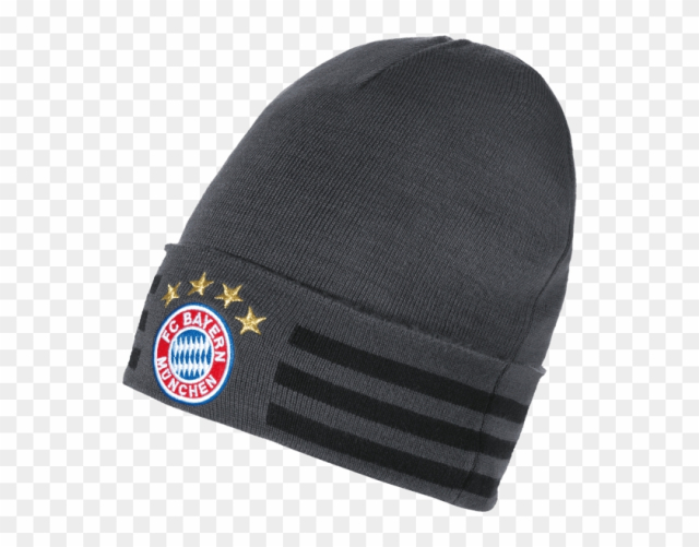 Free: Fullscreen - Fc Bayern Munich, HD Png Download - 660x660(#951420 ...