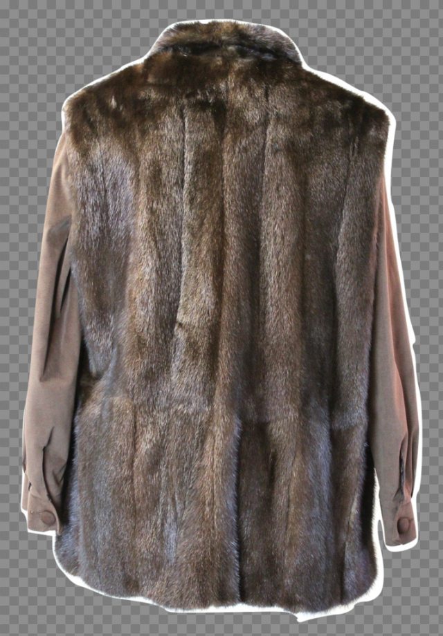 Free: Fur Coat PNG Picture - nohat.cc