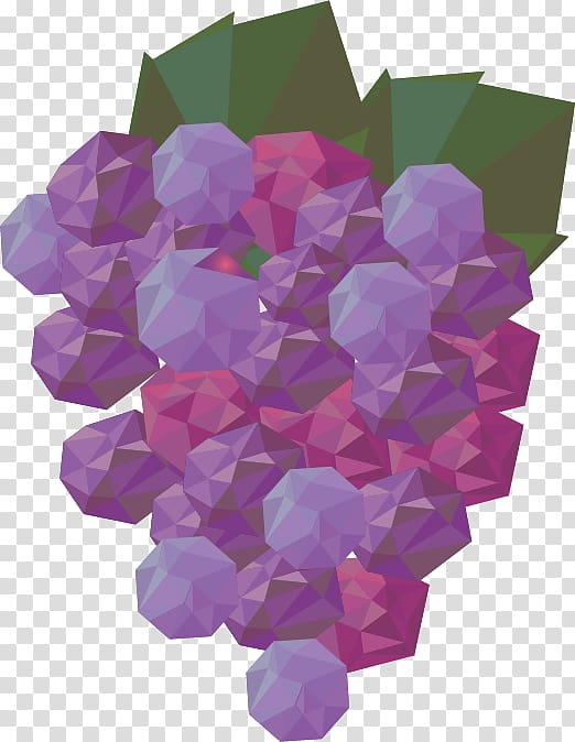 Free: Geometry Auglis Geometric shape, Creative abstract grape fruit ...