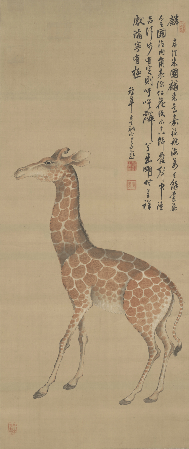 Free: Giraffe during second half 19th | Free Photo - rawpixel - nohat.cc