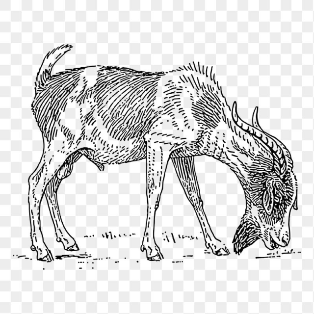 Free: Goat grazing png sticker illustration, | Free PNG - rawpixel ...