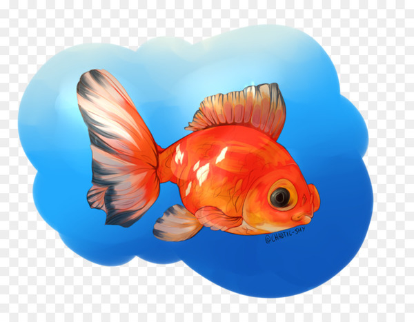Free: Goldfish Feeder fish Fin Marine biology - pidgeon graphic - nohat.cc