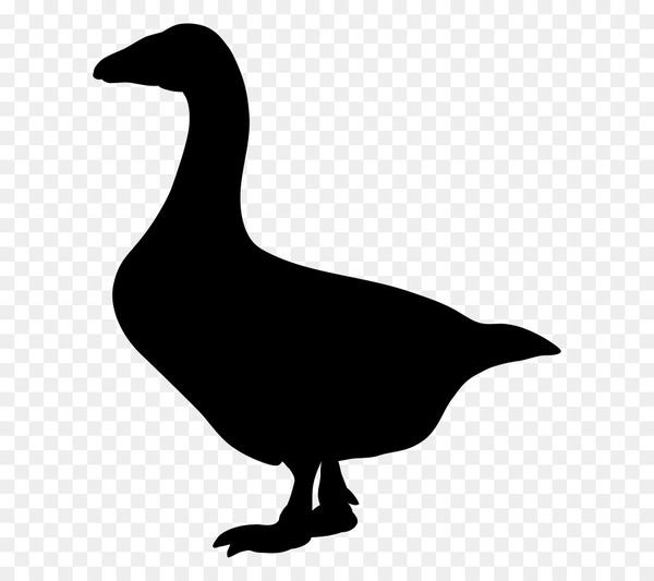 Free: Goose Vector graphics Computer Icons Illustration Bird - - nohat.cc