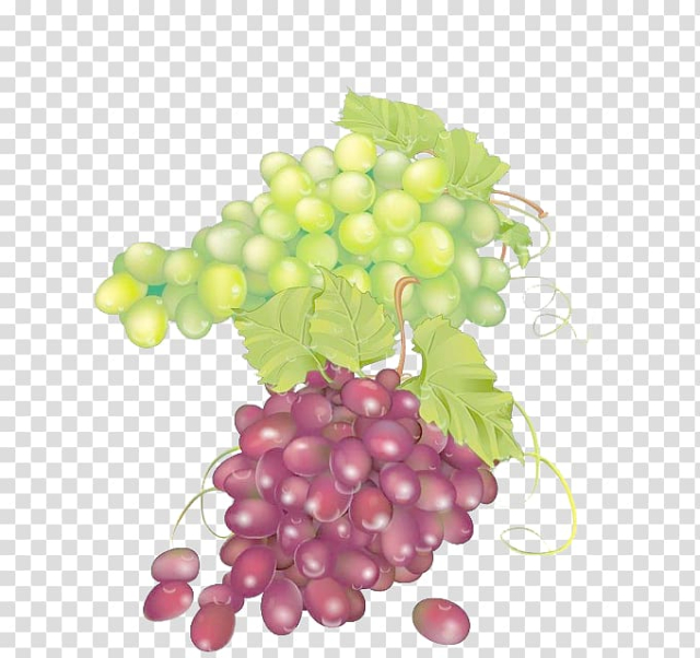 Free: Grape juice Seedless fruit, Red grapes green grapes transparent background PNG clipart ...