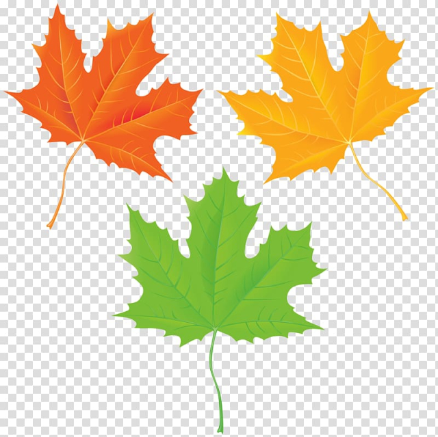 Free: Graphics Portable Network Graphics, Raking leaves transparent ...