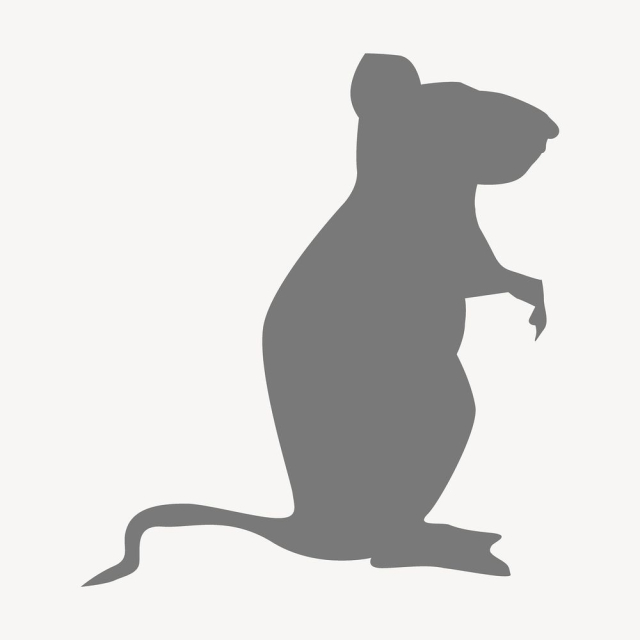Free: Gray rat collage element, silhouette | Free Vector - rawpixel ...