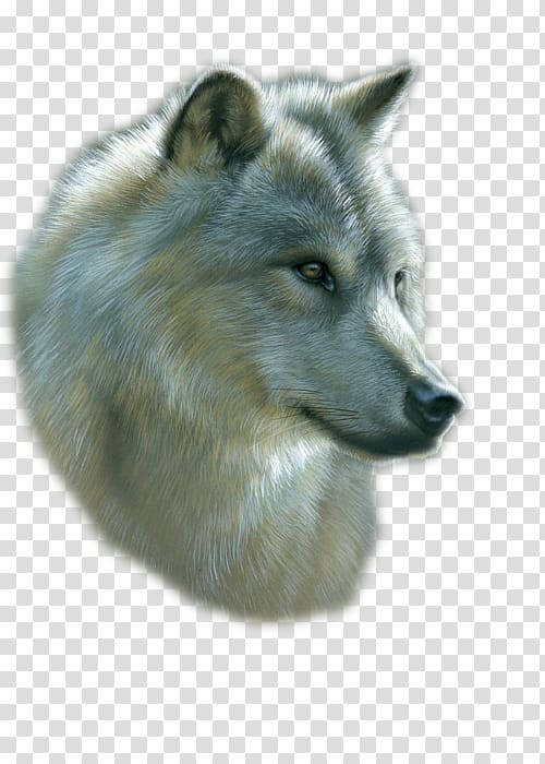 Free: Gray wolf Drawing Art Watercolor painting, painting transparent ...