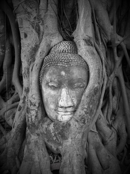 Free: Grayscale Photo of Buddha Statue - nohat.cc