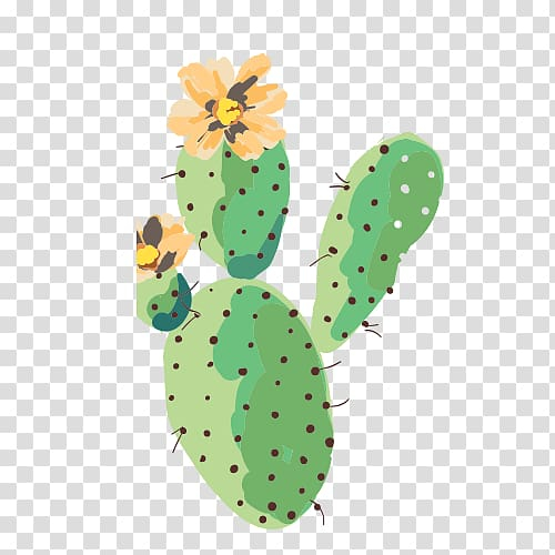 Free: Green and orange cactus art, Cactaceae Thorns, spines, and ...