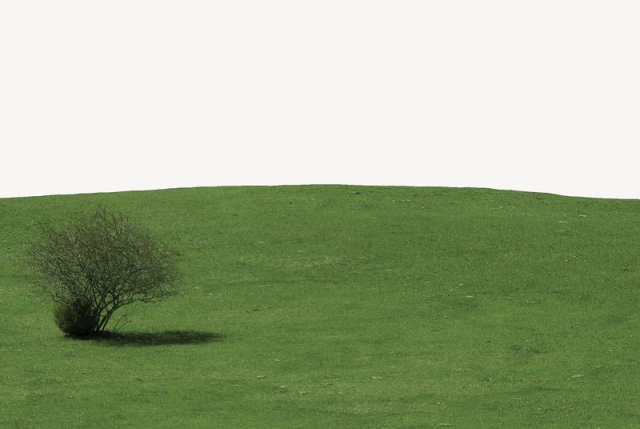 Free: Green grass hill border, nature | Free PSD - rawpixel - nohat.cc