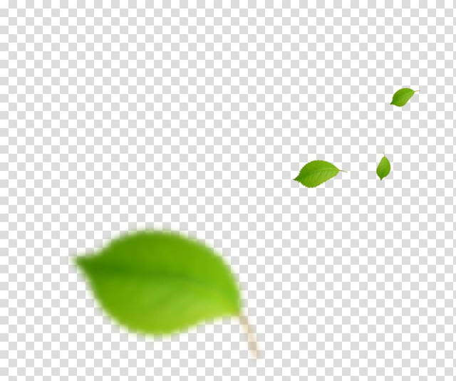 Free: Green Leaf , Falling leaves transparent background PNG clipart ...