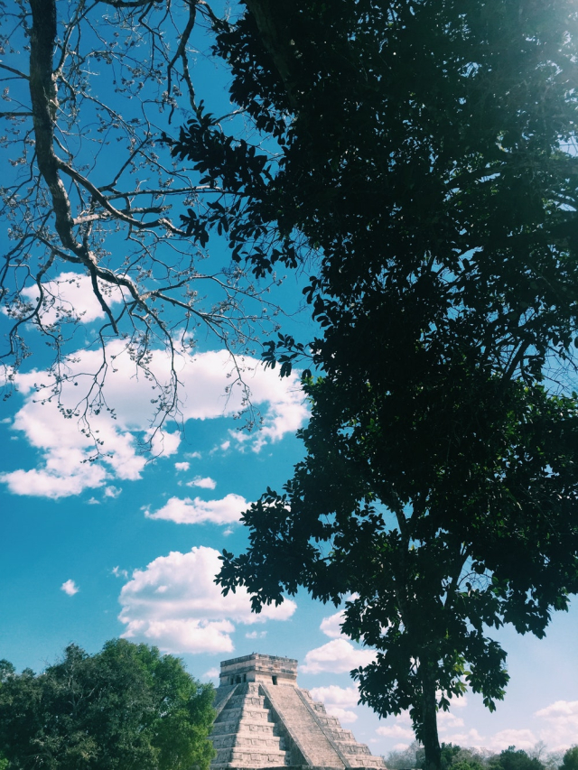 Free: Green Leafed Trees With View Of Pyramid - nohat.cc