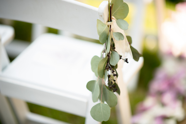 Free: Green Vine - nohat.cc