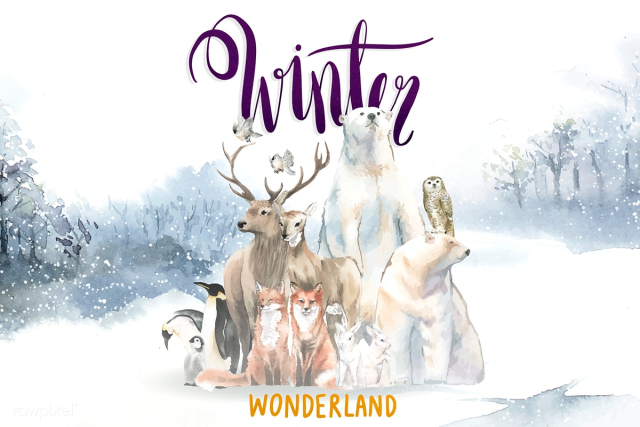Free: Group of wild animals in a winter wonderland .. | Free stock ...