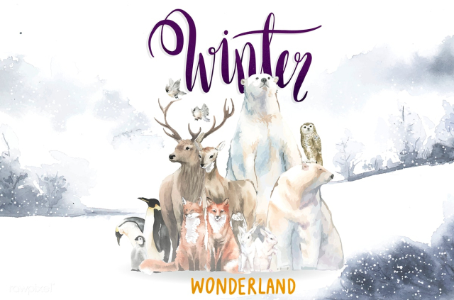 Free: Group of wild animals in a winter wonderland .. | Free stock ...