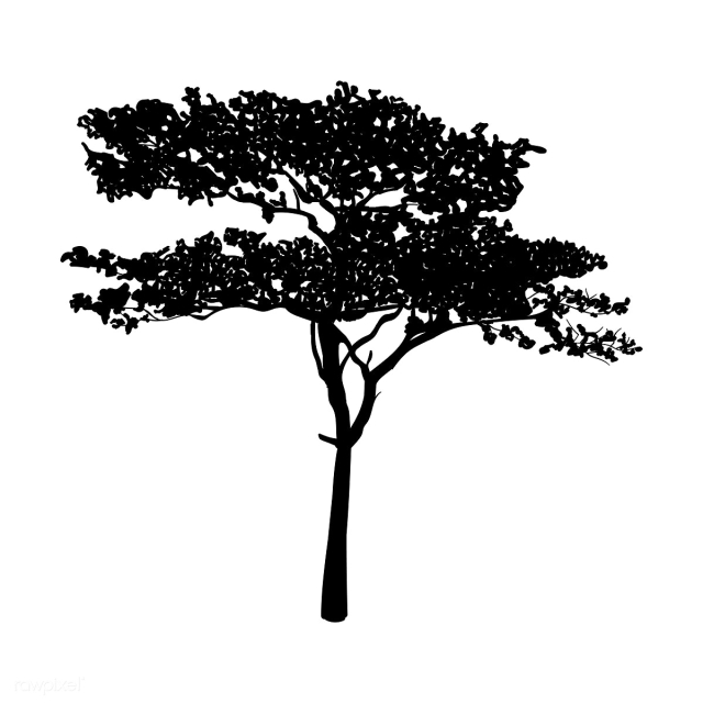 Free: Gum tree silhouette on white background | Free stock vector ...