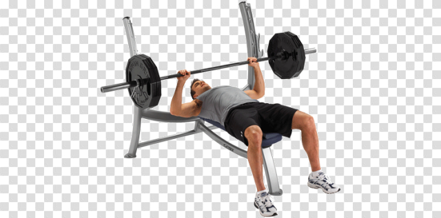 Free: Gym PNG Transparent Images | PNG All - nohat.cc