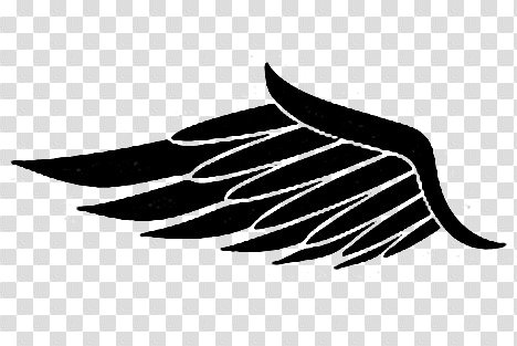 Free: Half Wing Transparent Image - nohat.cc