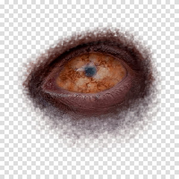 Free: Halloween app Zombie Camera, eye_ transparent background PNG ...