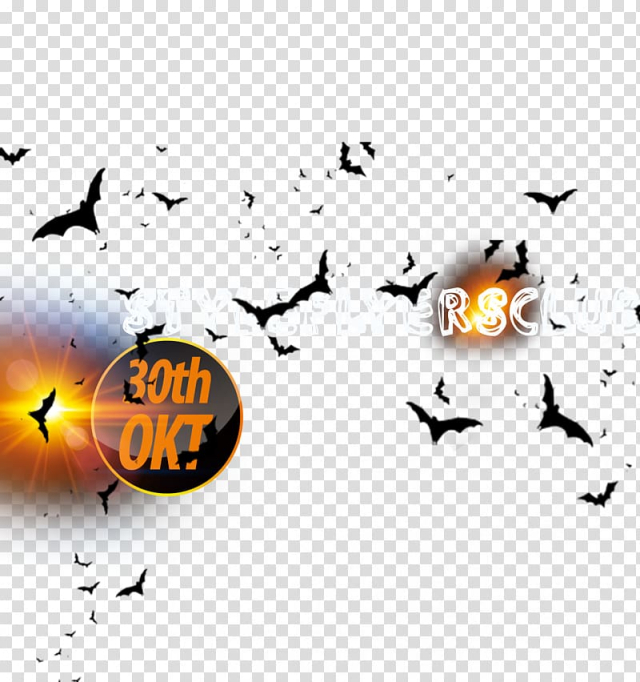 Free: Halloween Icon, bat transparent background PNG clipart - nohat.cc