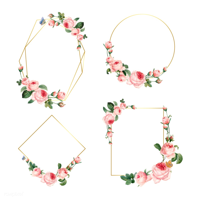Free: Hand drawn blank pink roses frames on white b.. | Free stock vector - 543301 - nohat.cc