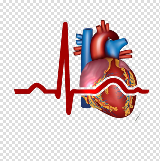 Free: Heart bear , Myocardial infarction Heart Cardiovascular disease ...
