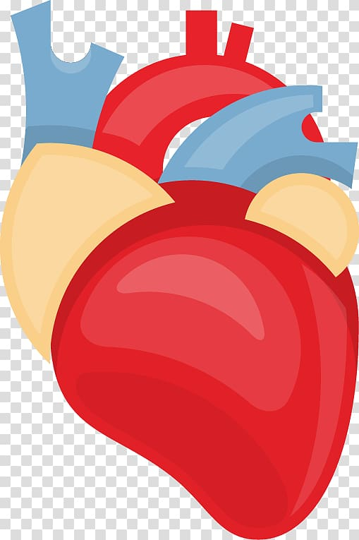 Free: Heart , Heart Human body, Heart transparent background PNG ...