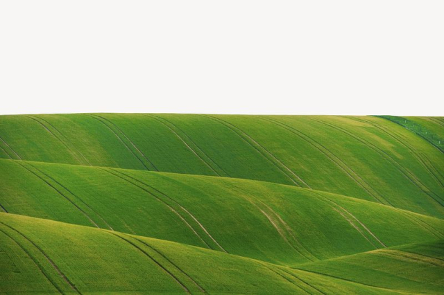 Free: Hill border collage element, nature | Free PSD - rawpixel - nohat.cc