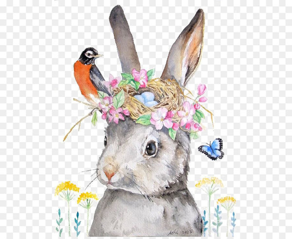 Free: Holland Lop Rabbit Drawing Illustration - rabbit - nohat.cc