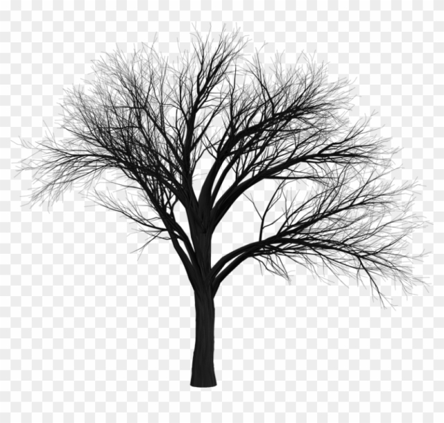 Free: How To Draw A Dead Tree 7, - Tree - nohat.cc