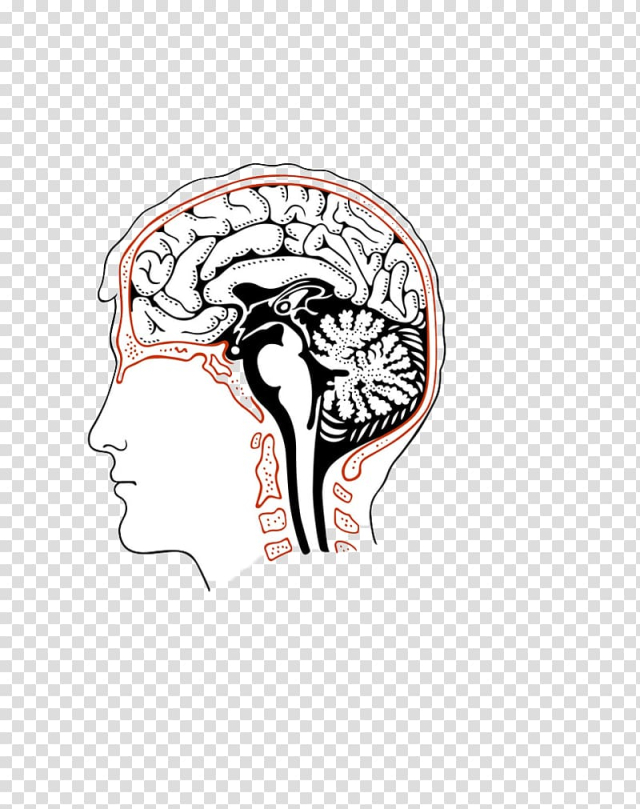 Free: Human brain, Abstract human brain comics transparent background ...