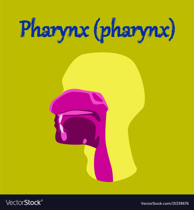 Free: Human organ icon in flat style pharynx vector image - nohat.cc