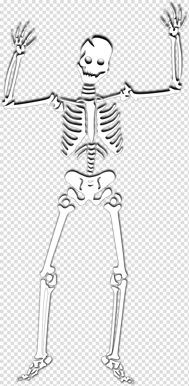Free: Human skeleton Skull , Halloween Skeleton transparent background ...