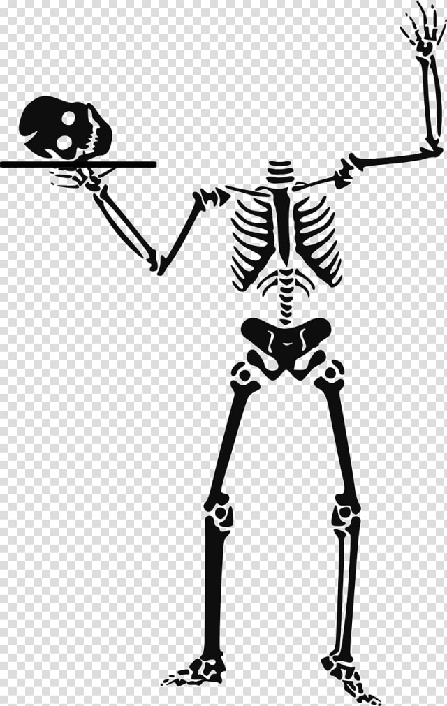 Free: Human skeleton Skull , skeletal transparent background PNG ...